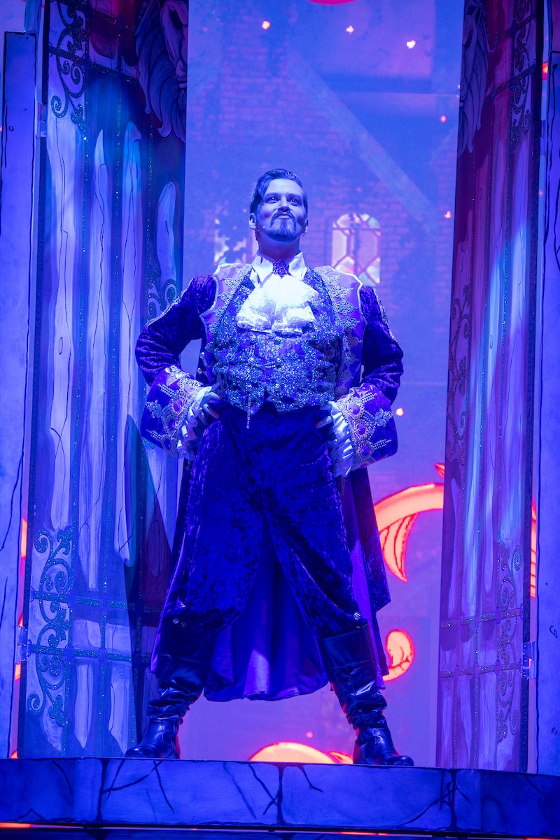It's Another Grand Pantomime in Swansea - Beauty and the Beast
